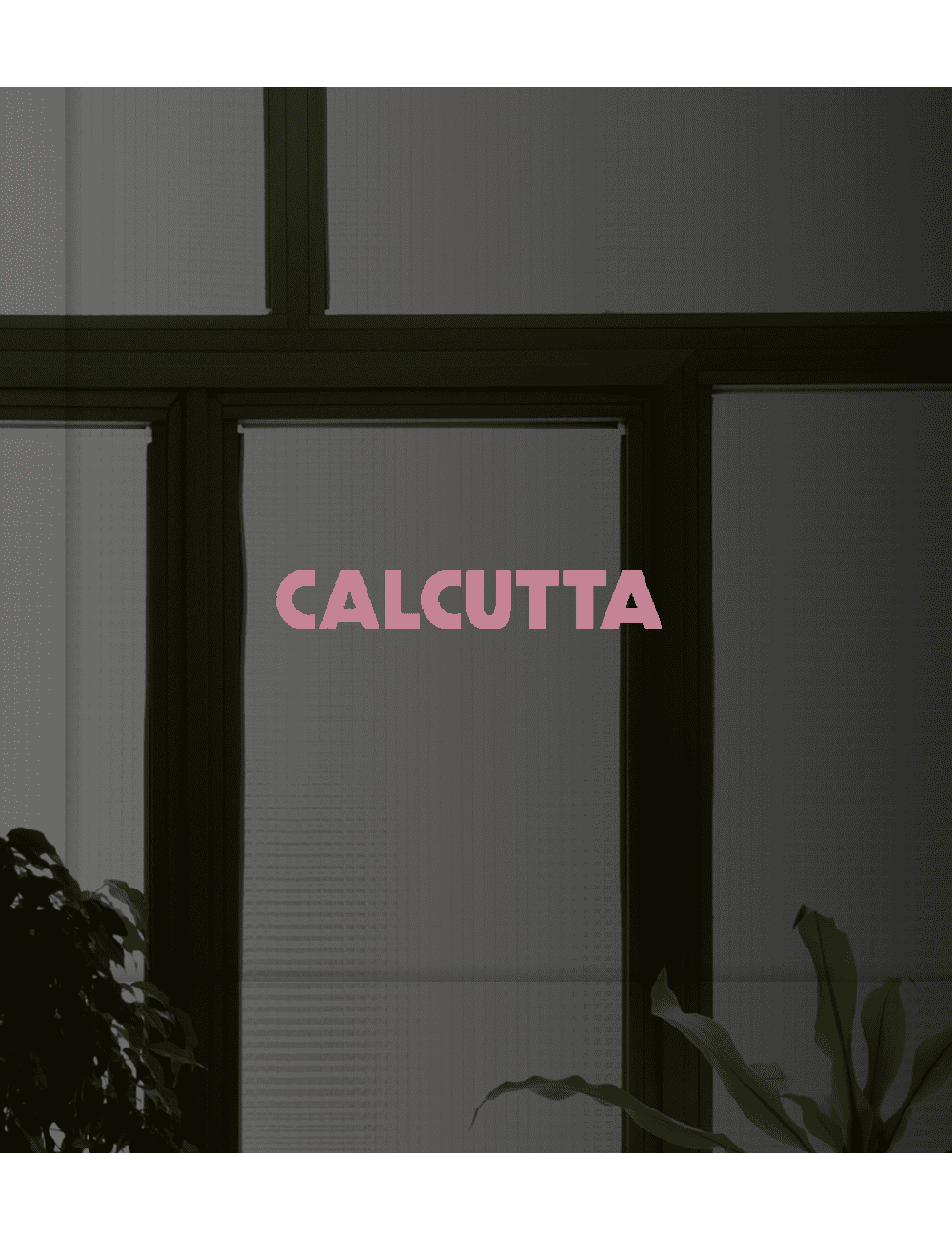 Calcutta - CD e Vinili | Sony Music Store